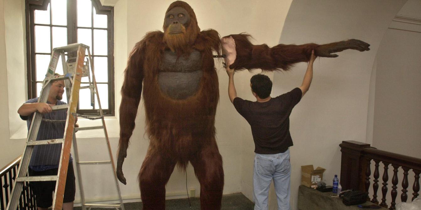 gigantopithecus skull reconstruction