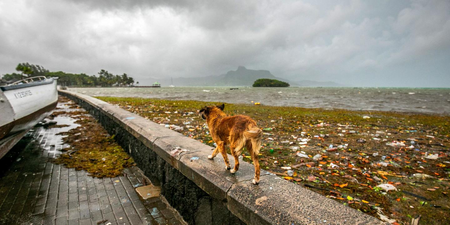 Mauritius lifts maximum alert in the wake of storm Belal
