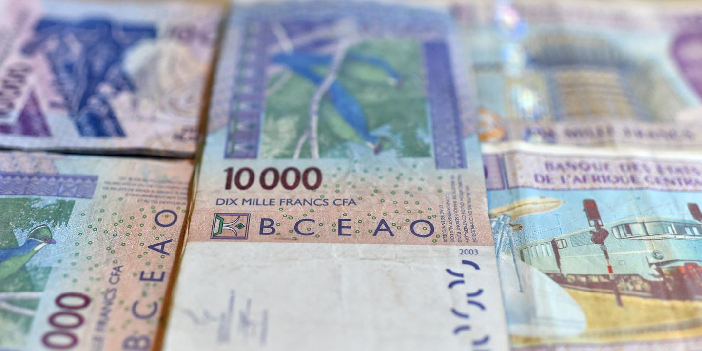 « Le franc CFA suscite bien trop de détestation pour que l’on s’en ...