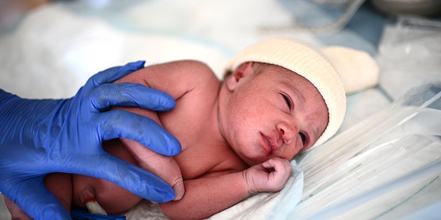 'The decline in birth rates is a widespread trend across Europe'