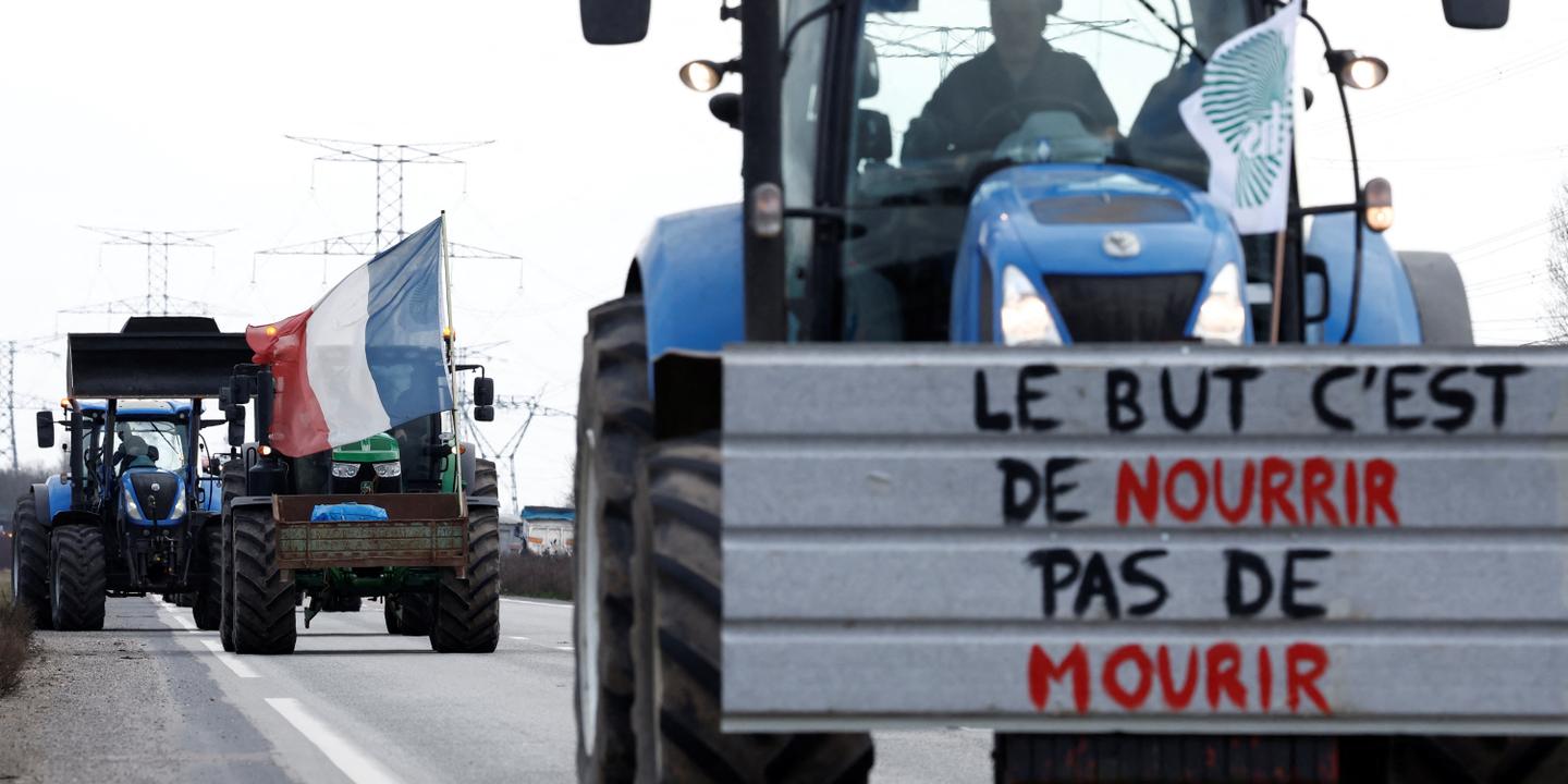 « Les réponses de l’Etat à la crise agricole bénéficient plus aux ...