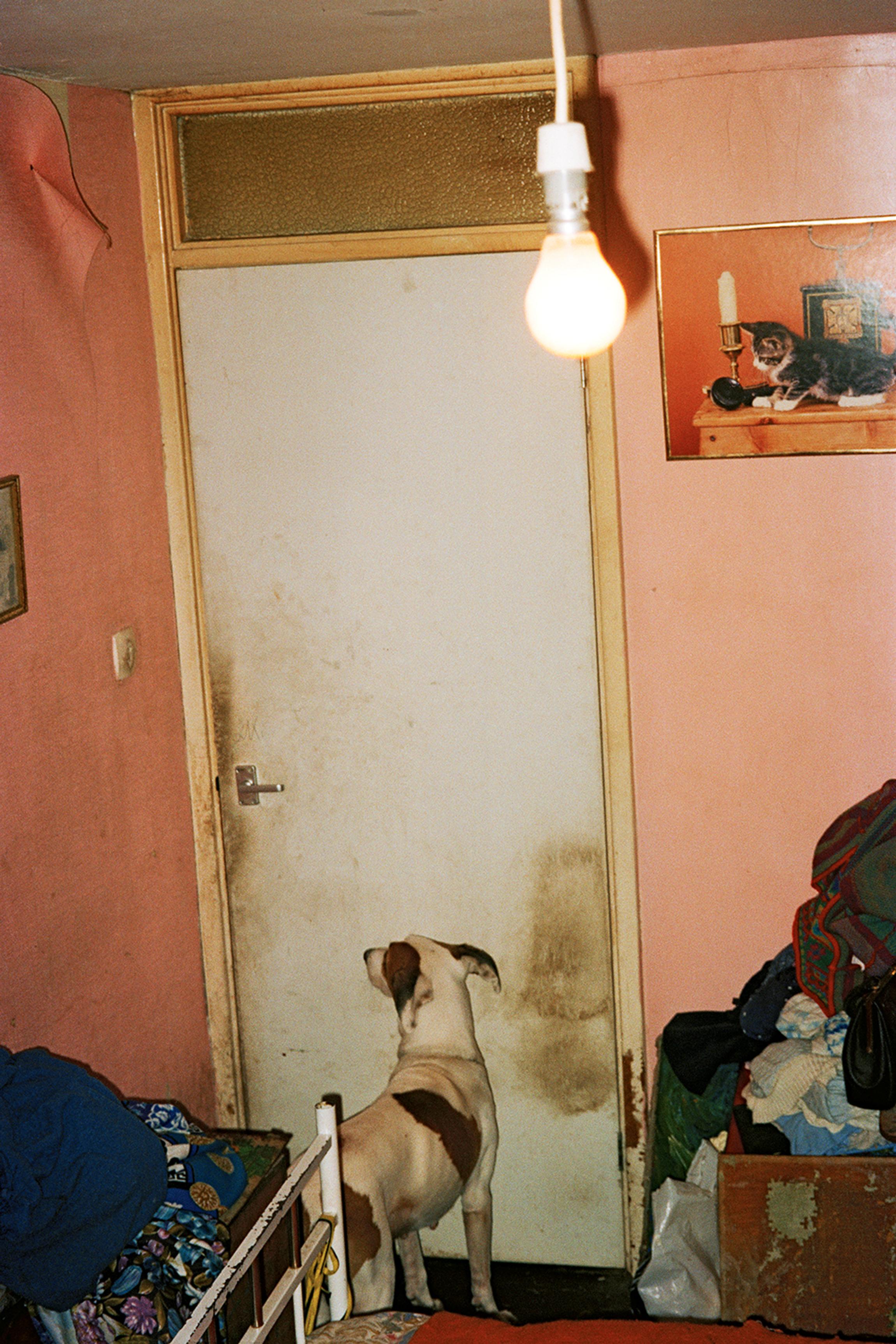 La chienne de vie du photographe Richard Billingham