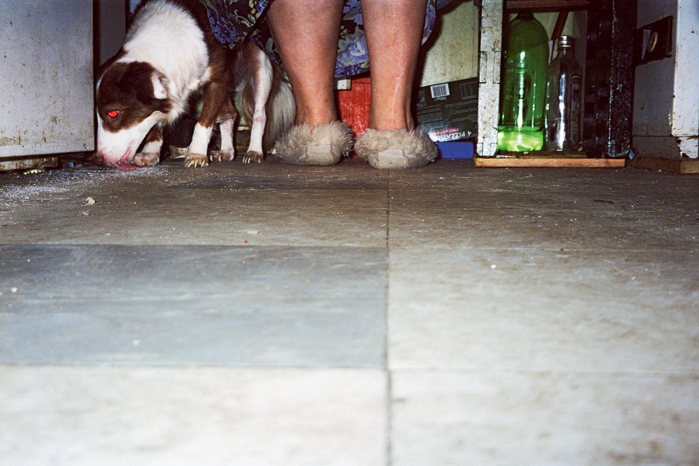 La chienne de vie du photographe Richard Billingham