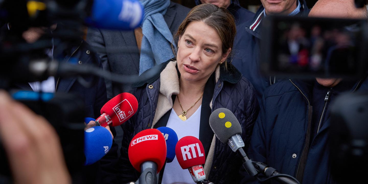 Elections européennes 2024 : Céline Imart, l’agricultrice qui tente de ...