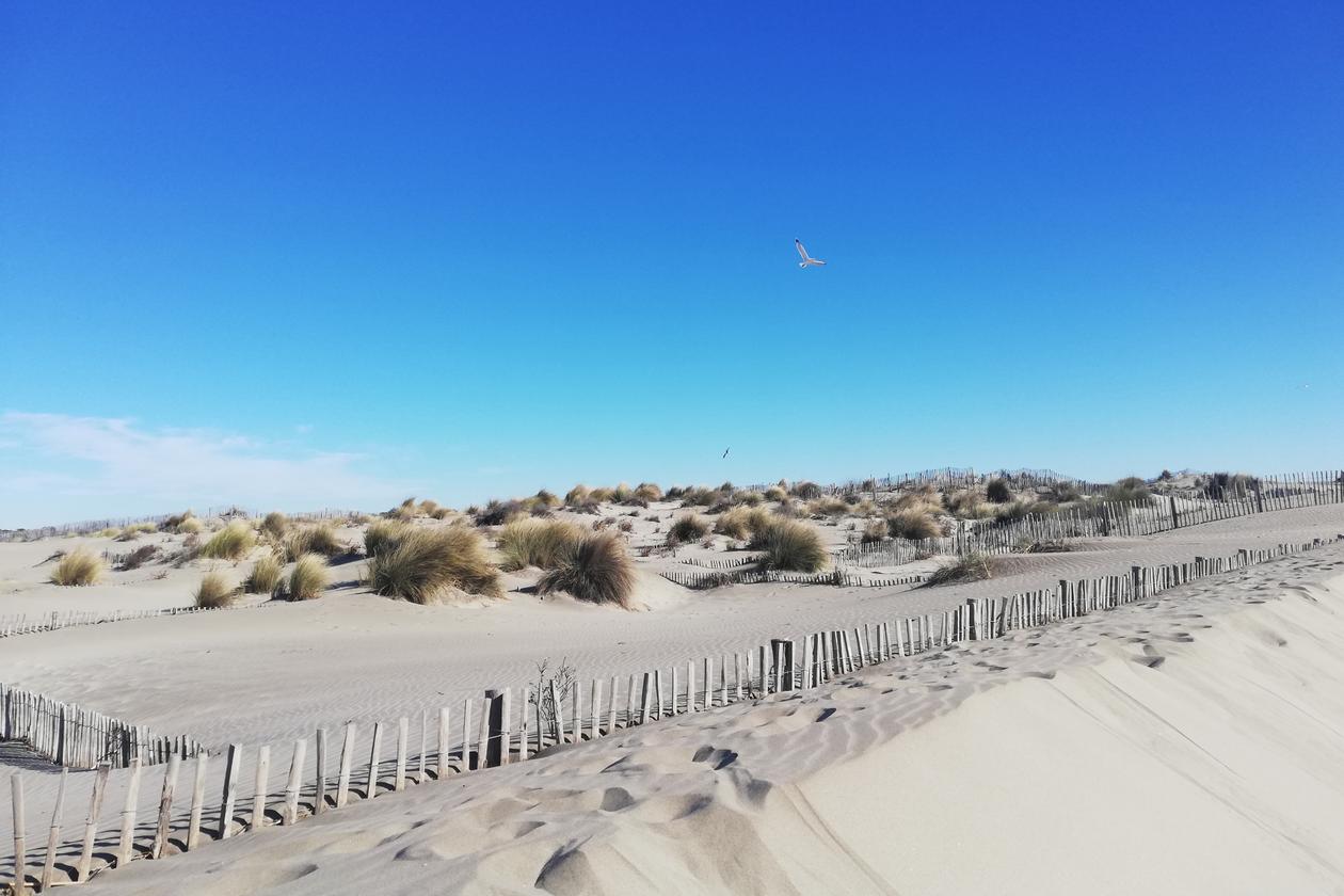 Le phare de l’Espiguette, un bout du monde au milieu des dunes