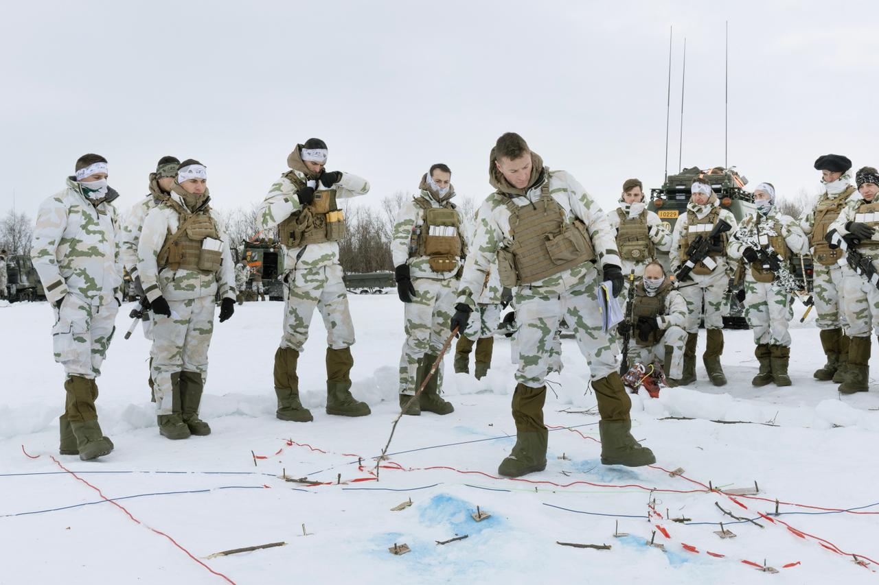 french alpine troops