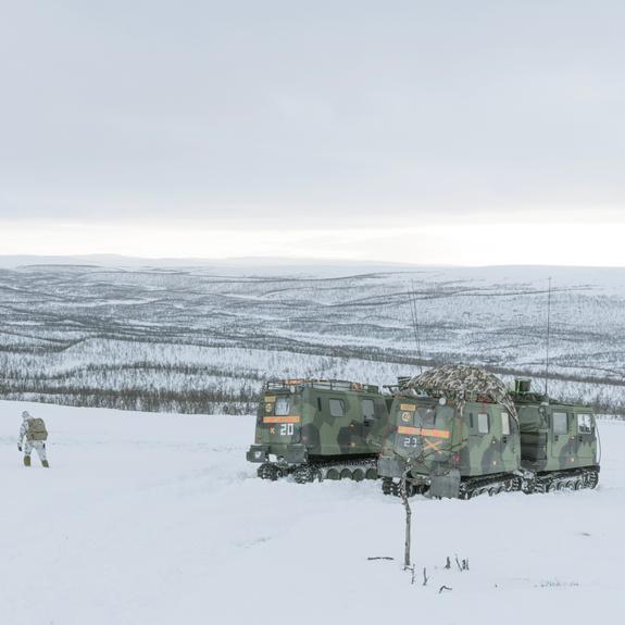 french alpine troops