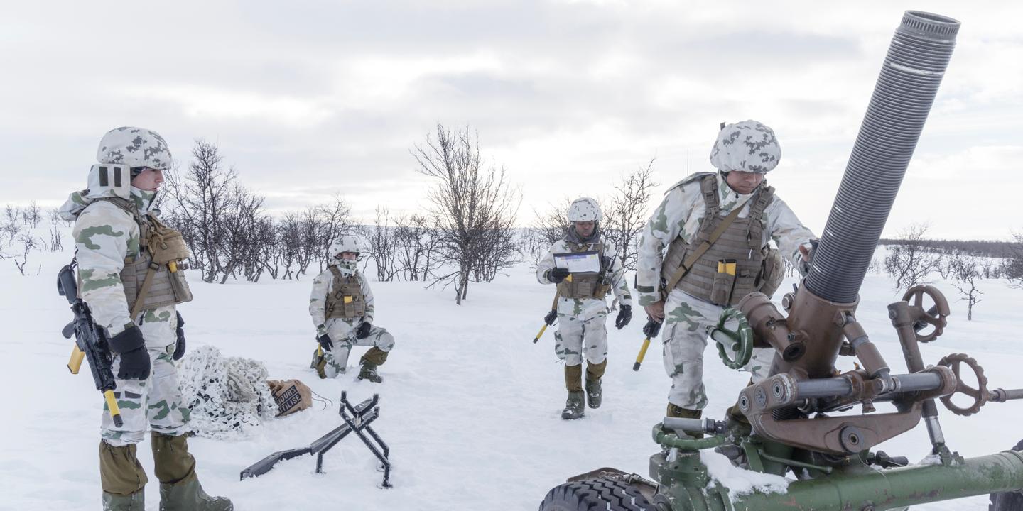 french alpine troops