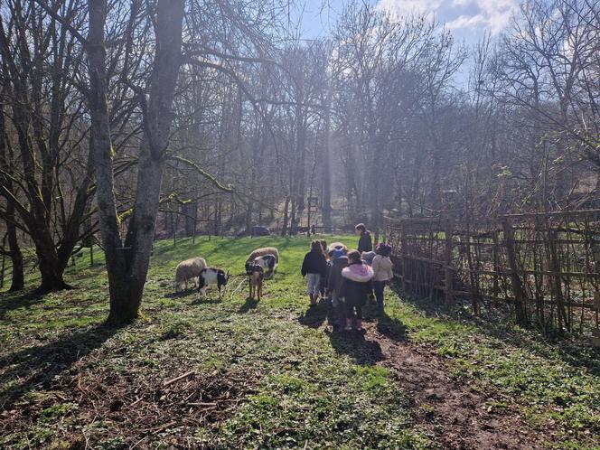Cinq fermes pédagogiques d’Ile-de-France à découvrir en famille