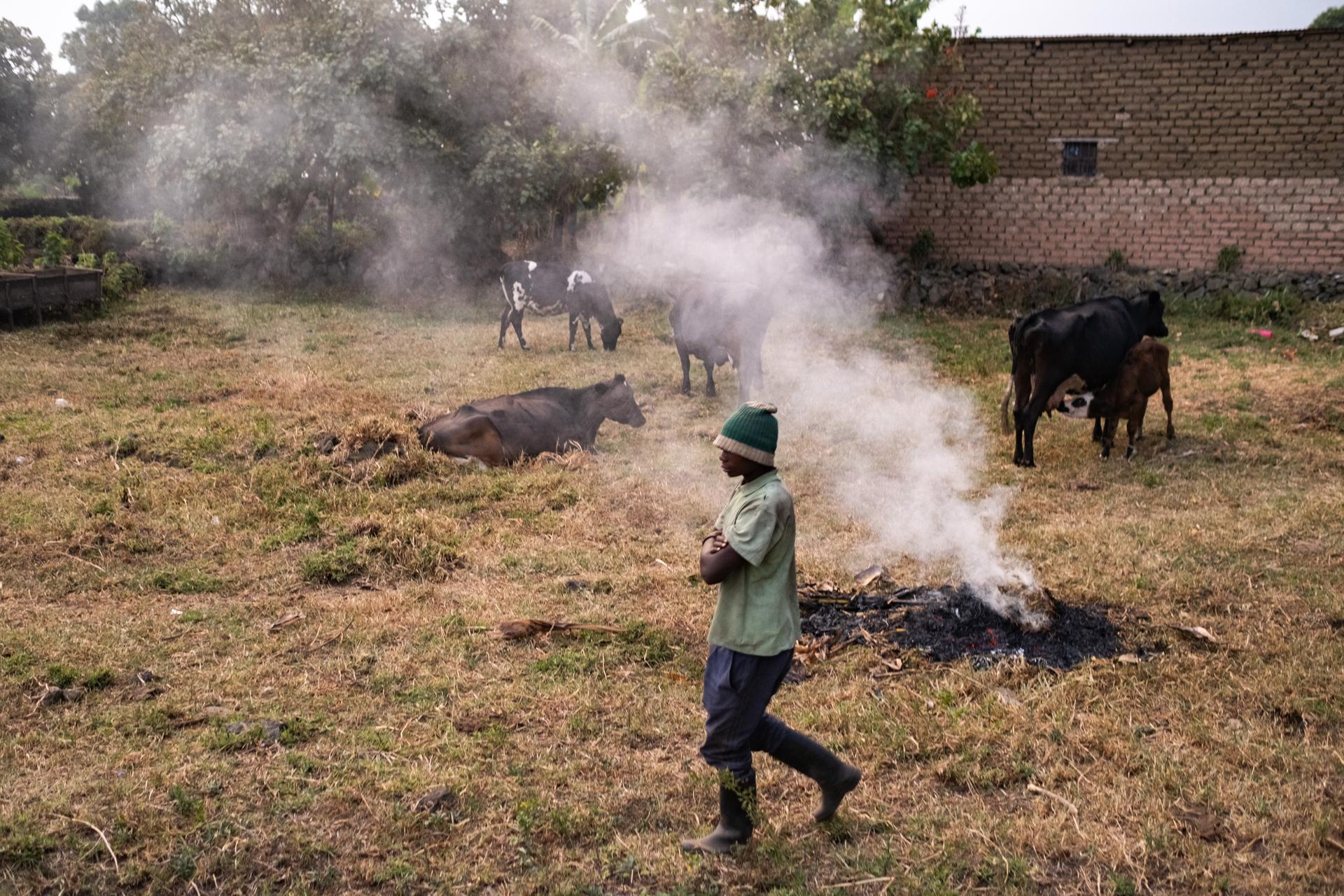 Rwanda : une renaissance sans compromis, trente ans après le génocide ...