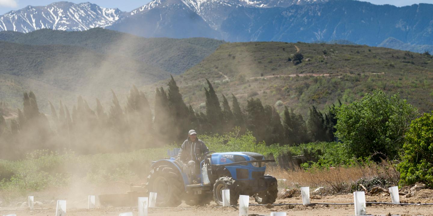 Persistent drought in southern France: 'This time, it's brutal'