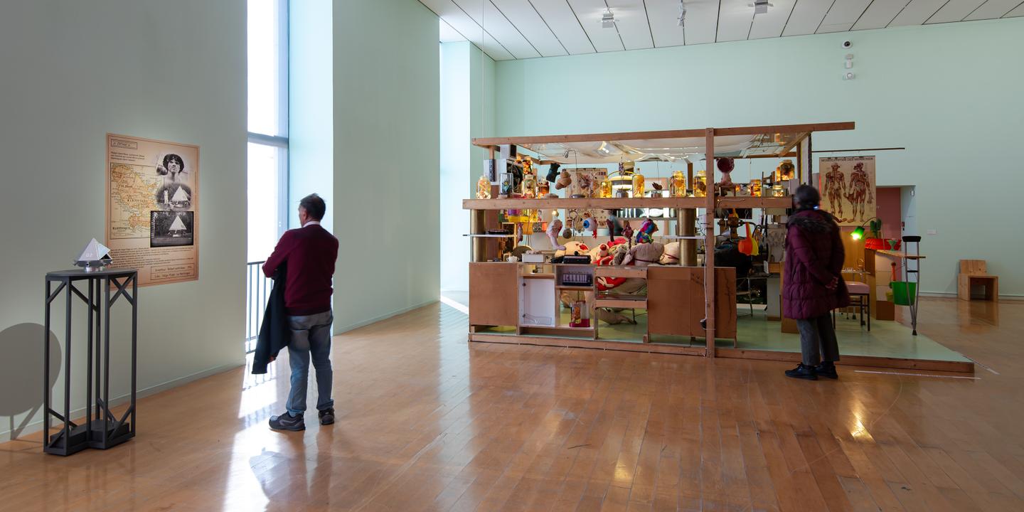 La collection Antoine de Galbert, au Musée d’art contemporain de Lyon ...