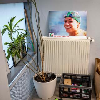 JO 2024 : le destin de Léon Marchand, l’héritier surdoué de la natation ...