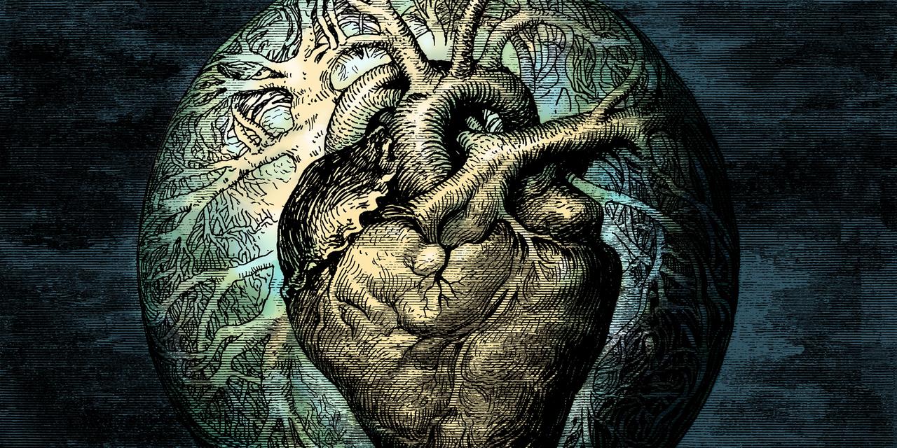 L’hypothèse Gaïa, itinéraire d’un regard sur la Terre