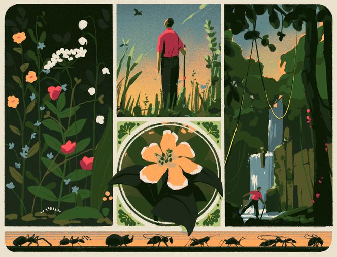 « Sur la terre », d’Anne-James Chaton : le feuilleton littéraire de ...