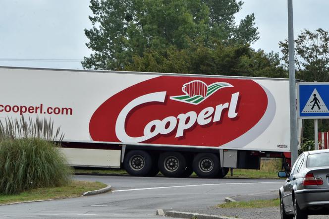 Chez Cooperl, géant breton du cochon, un groupe d’éleveurs frondeurs ...