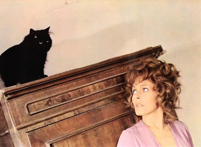 « La Trilogie du vice », un coffret DVD autour de la peur et du désir mêlés