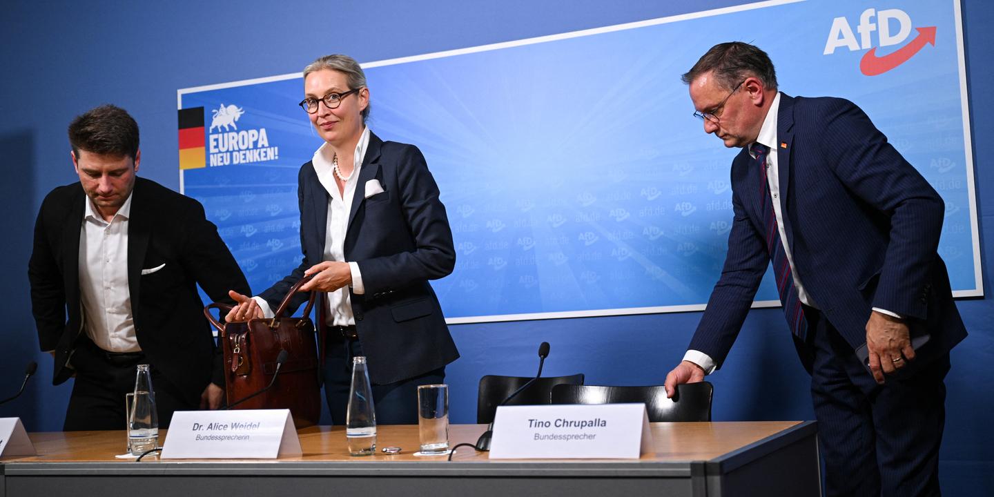 Campaign to ban AfD, Germany's far-right party, gains momentum