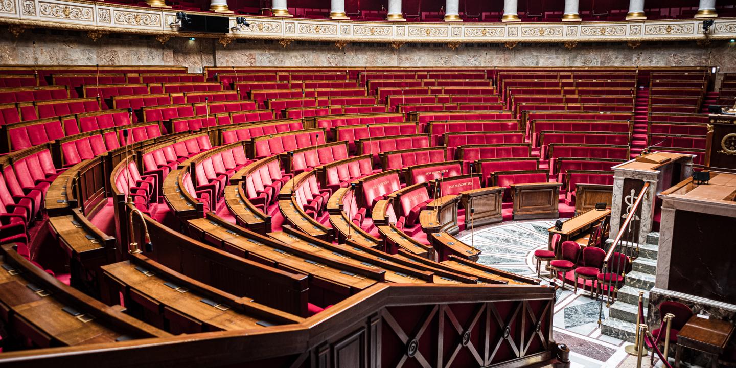 Which political groups make up France's new Assemblée Nationale?
