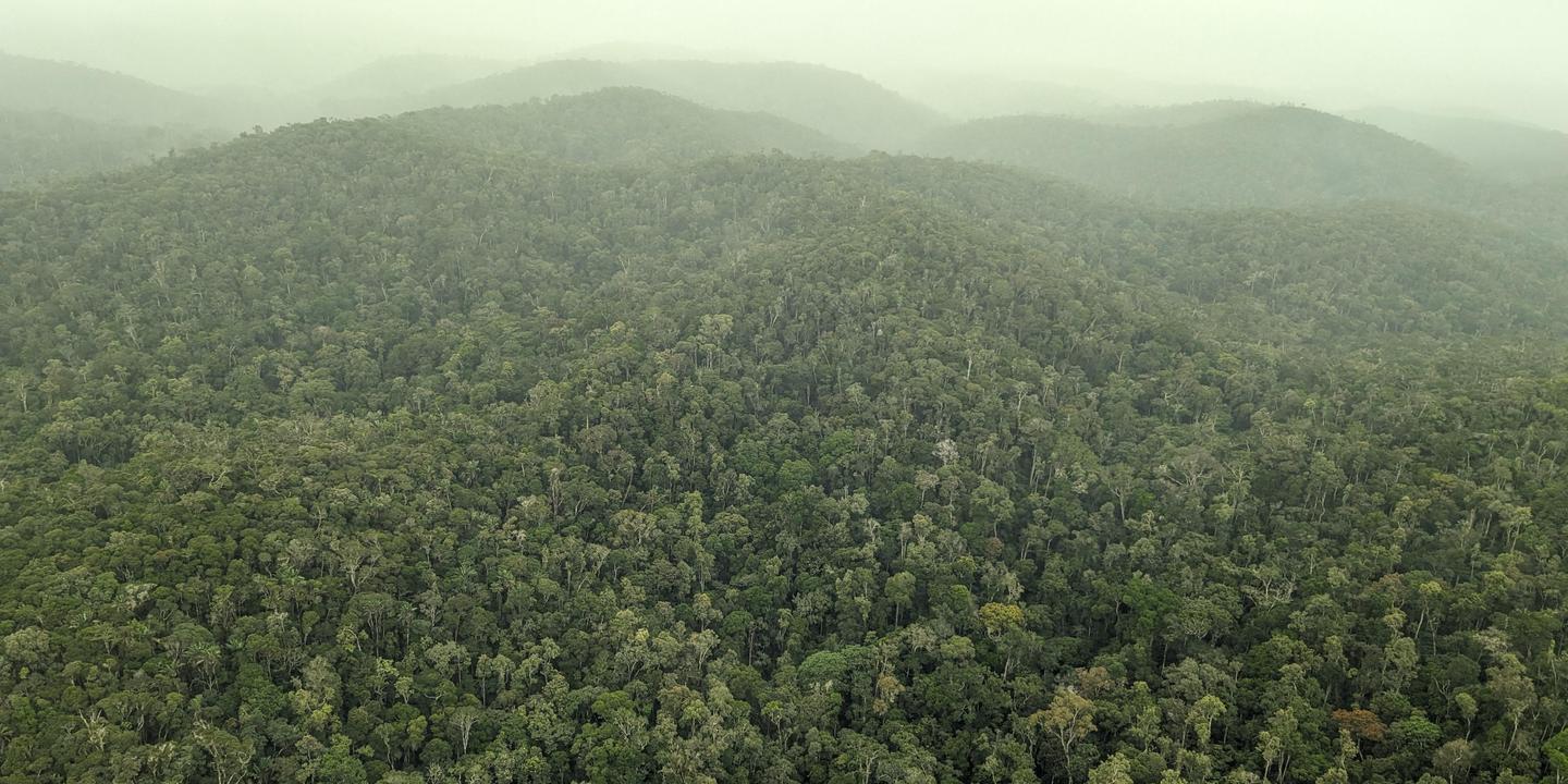 A Madagascar, une autoroute au milieu d’une forêt protégée