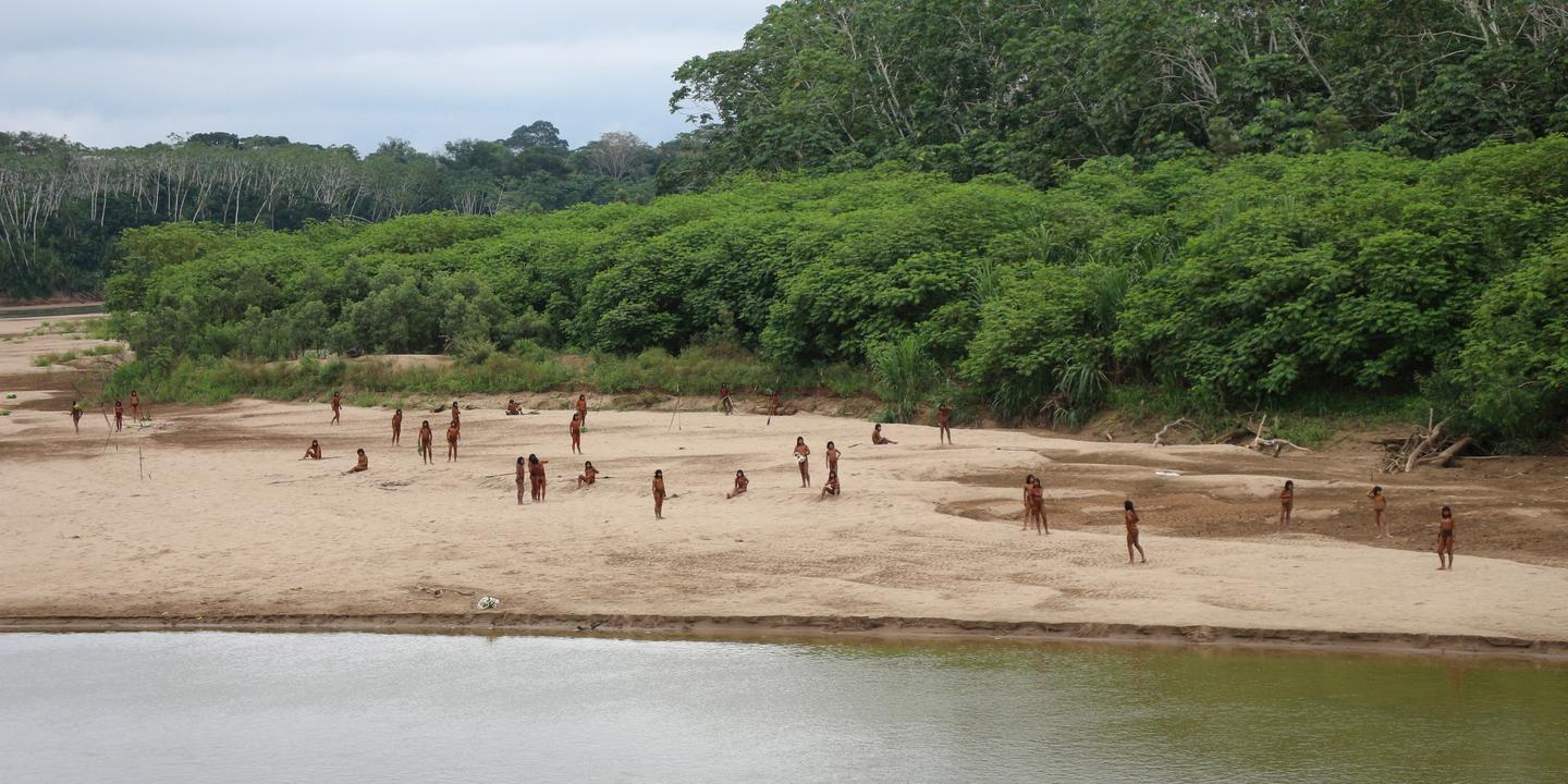 In Peru, the world's largest uncontacted Indigenous tribe disrupted by ...
