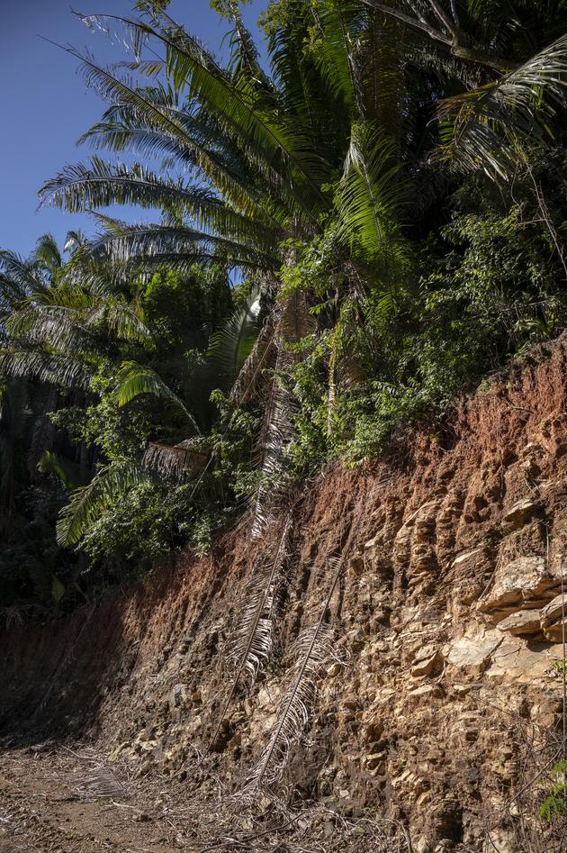 Prospera, the eccentric private libertarian enclave in Honduras