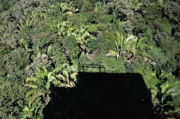 Prospera, the eccentric private libertarian enclave in Honduras