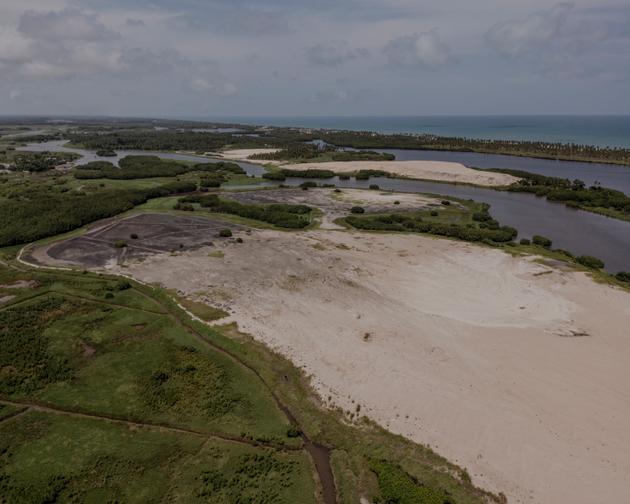 Au Bénin, ONG et divinités vaudoues au chevet des précieuses mangroves