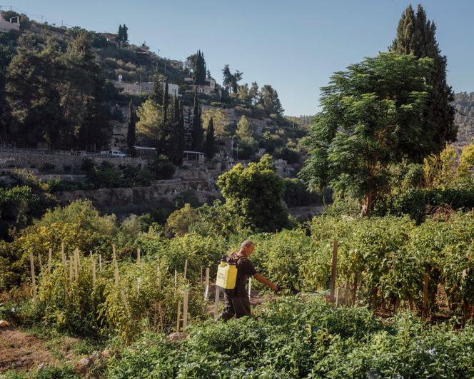 Israel accelerates settlement in UNESCO-listed area of West Bank
