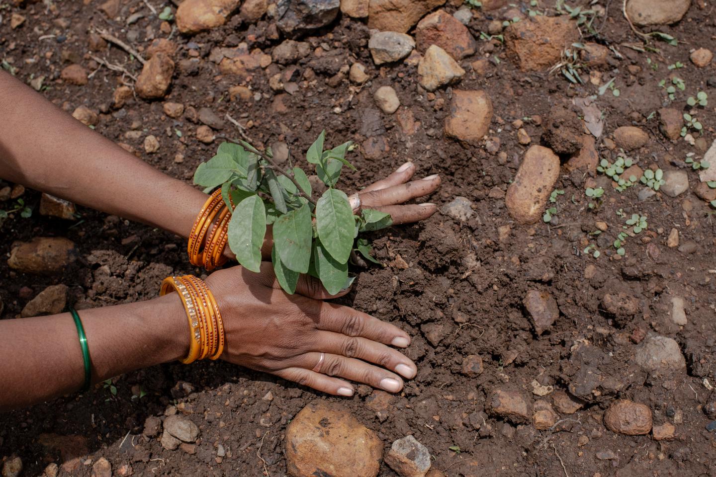 Repairing the Earth is both urgent and possible