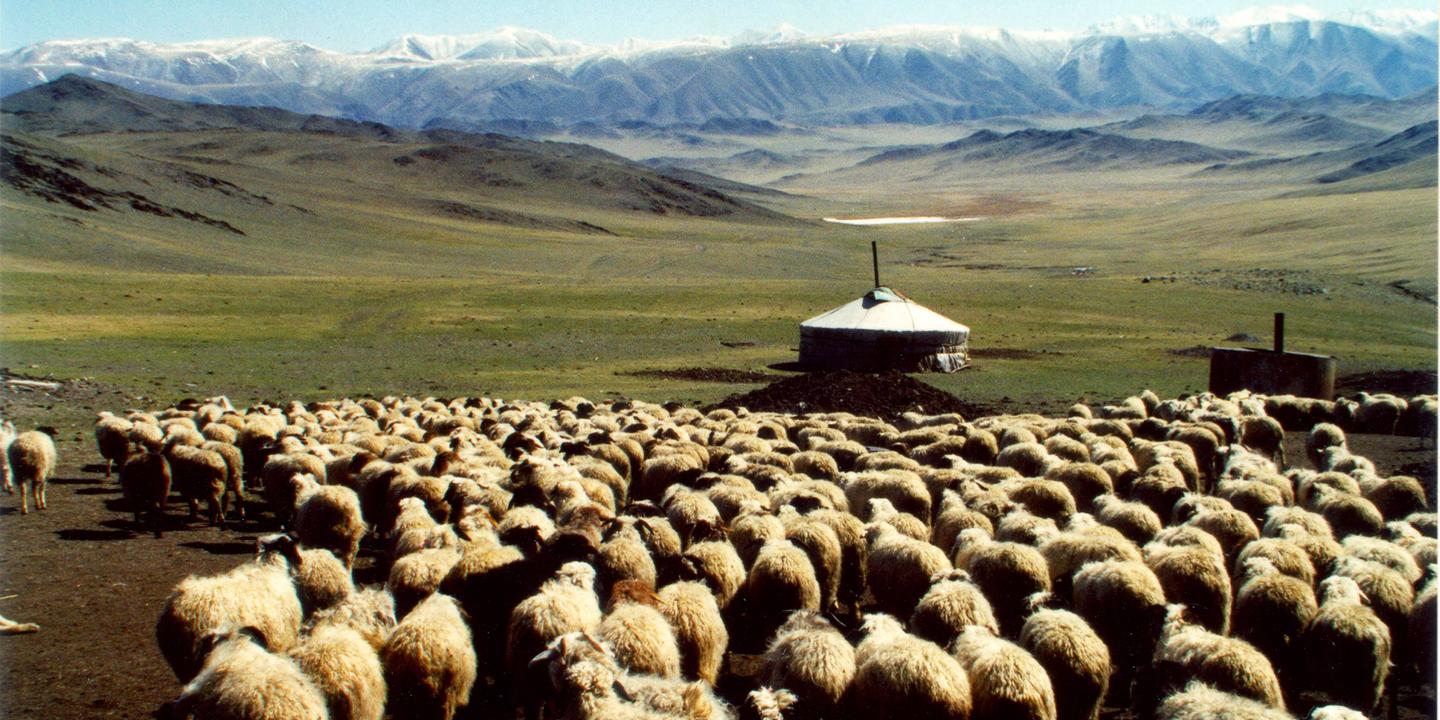 Charles Stépanoff, anthropologue : « Notre nature humaine, si elle ...