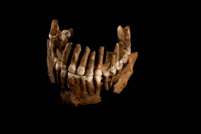 New Neanderthal remains found in France, raising fresh questions on ...