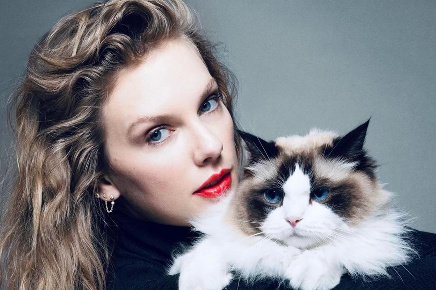 Le chat de Taylor Swift, une figure politique à part entière
