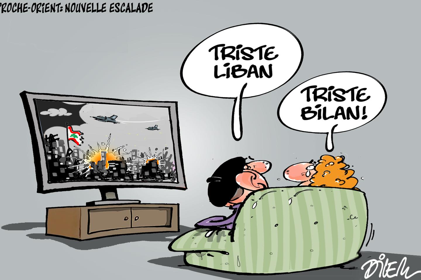 Vu par… Dilem