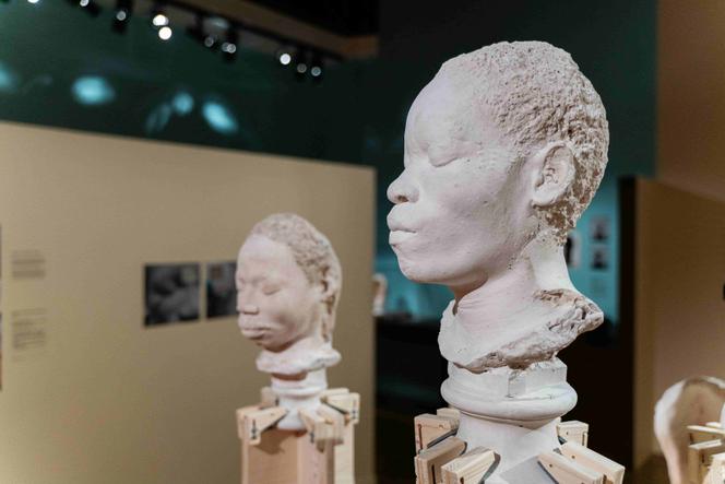 « Visages d’ancêtres » : le long voyage des esclaves de l’île Maurice ...