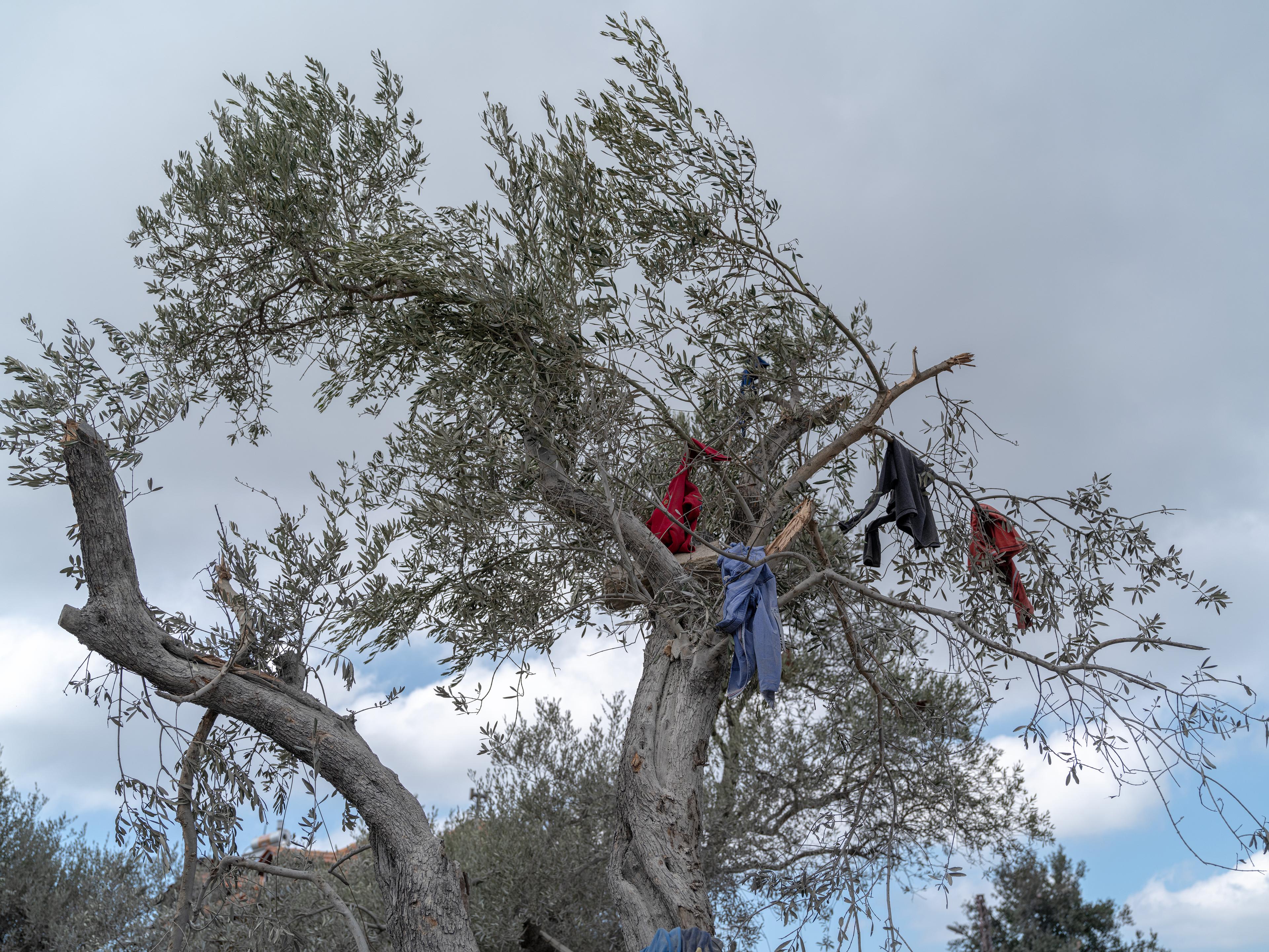 Lebanon: 24 people killed by Israeli bombing on northern town of Aitou