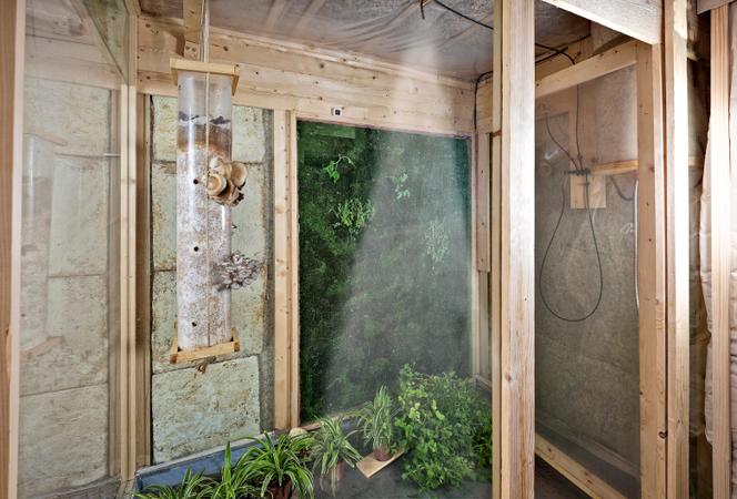 Crickets as roommates and 'living' toilets: Welcome to the 'apartment ...