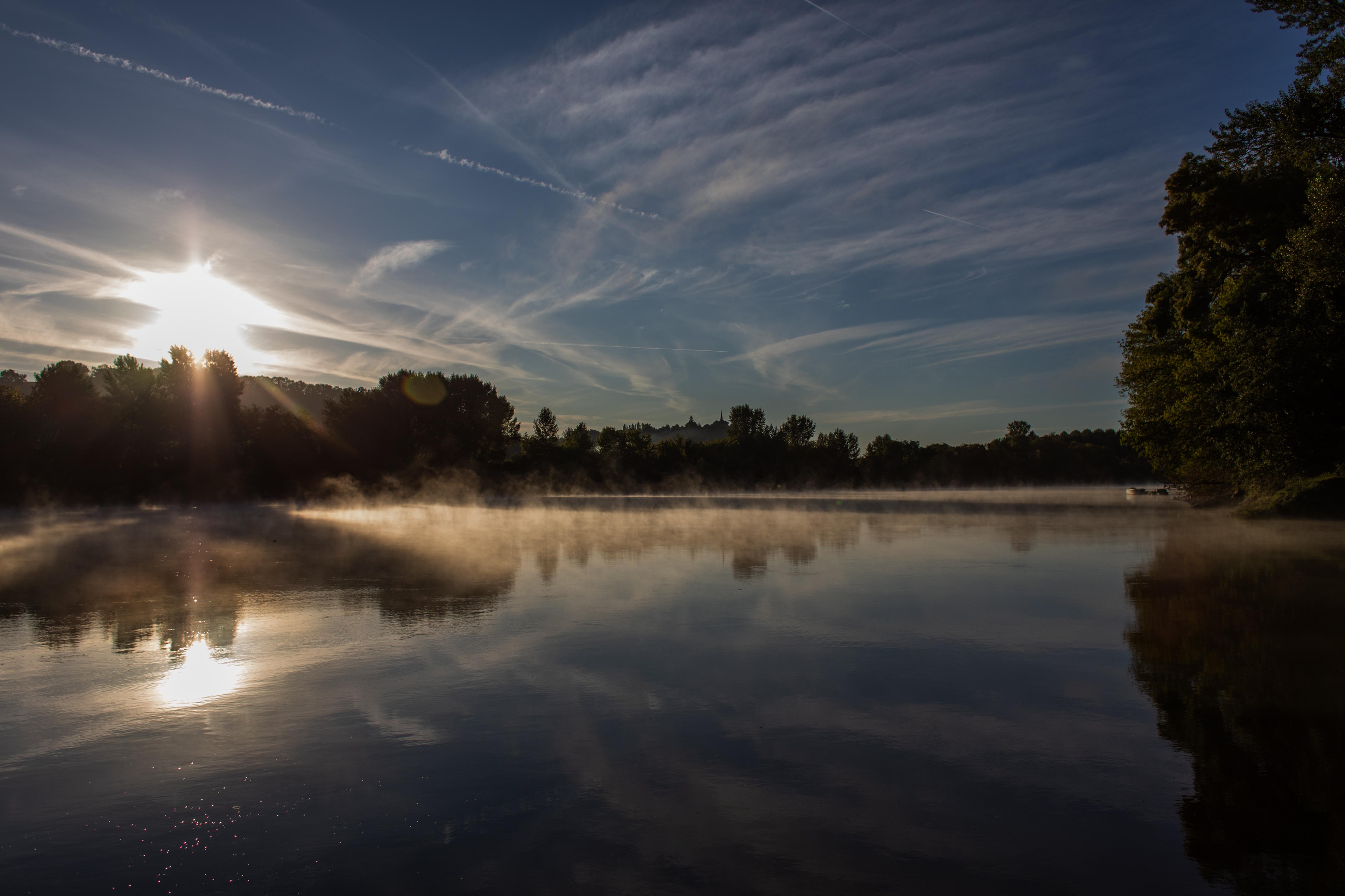 Les mystères de la forêt du Ciron, une hêtraie millénaire et menacée