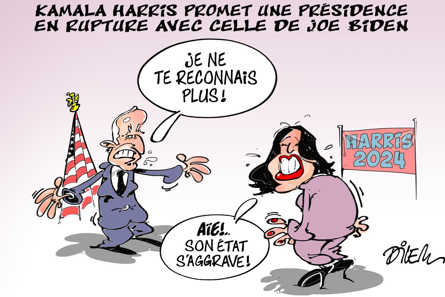 Vu par… Dilem