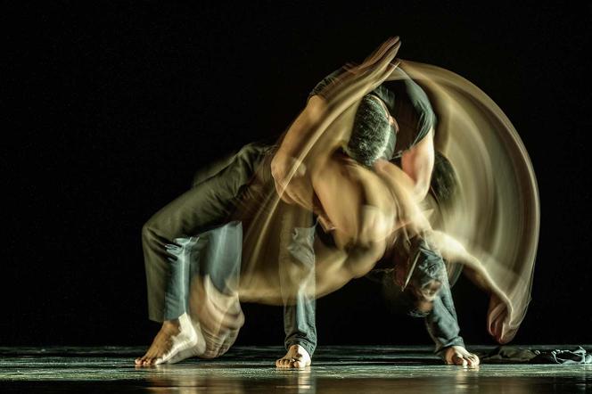 Seize spectacles à réserver : « Les Fausses Confidences », « Edgar ...