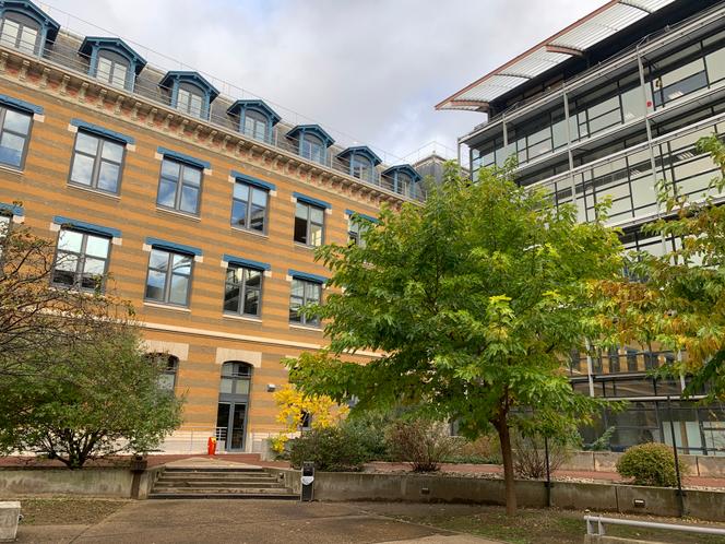 « On essaie de capter les étudiants dès le début de leur cursus » : les ...