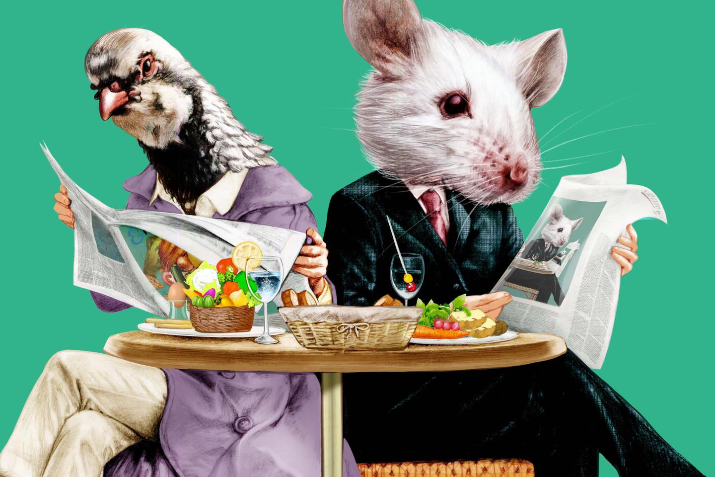 Les aliments bio sont-ils meilleurs pour la santé ? Ce que la science ...