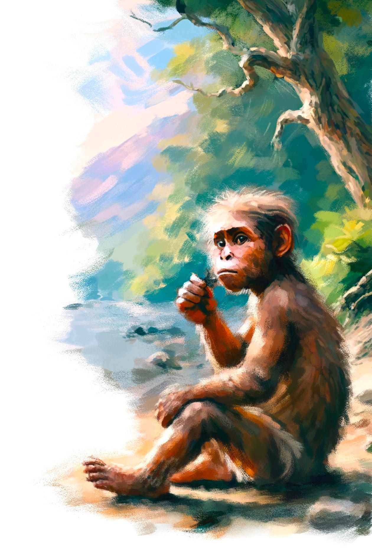 L’héritage débattu de Lucy, la plus célèbre des australopithèques