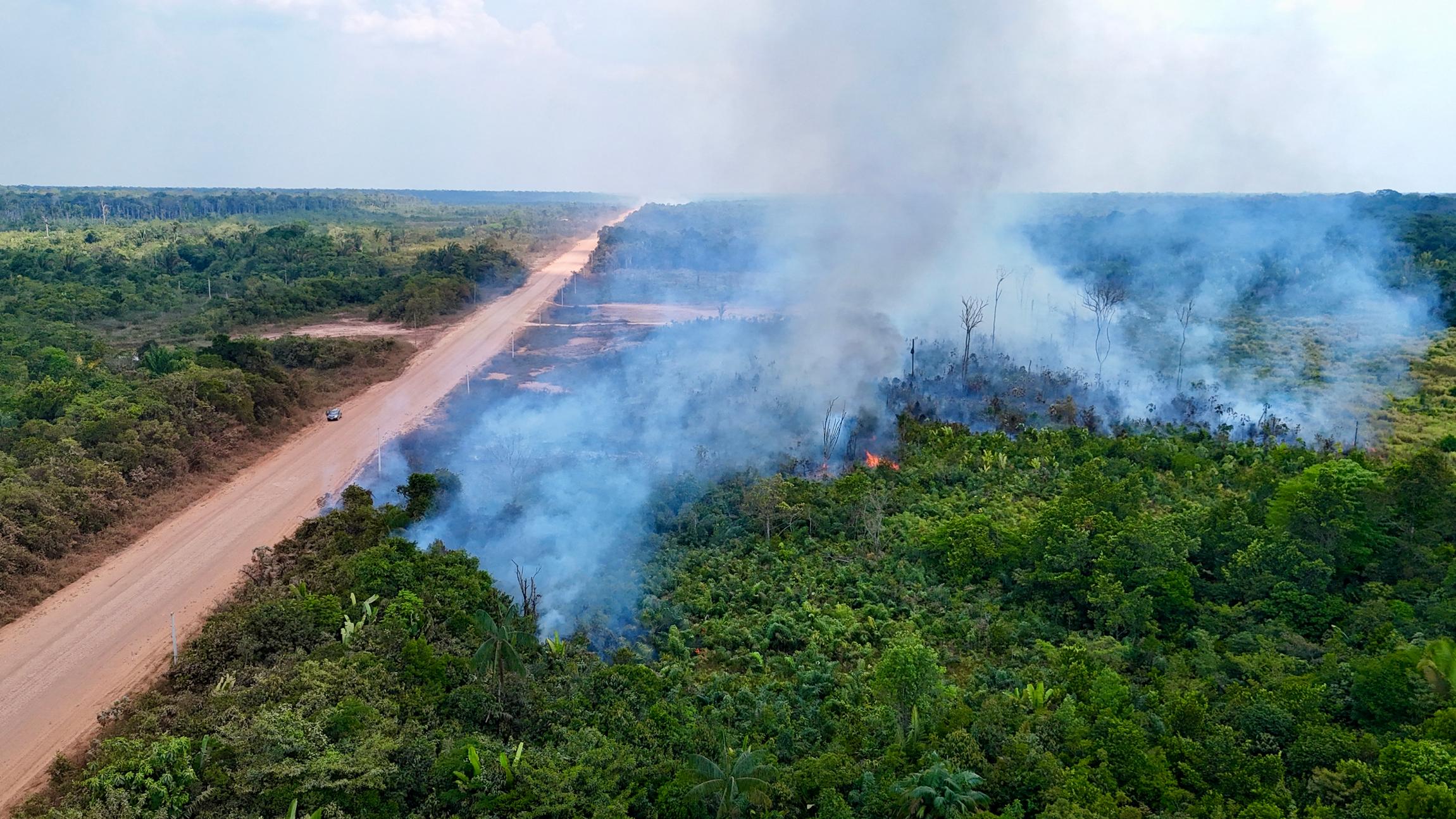 En Amazonie, la déforestation à son plus bas niveau depuis neuf ans