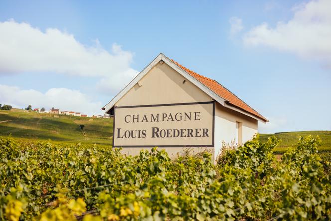 La biodiversité des vignes de Louis Roederer, clé de voûte du goût des ...