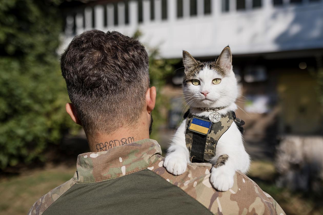 En Ukraine, chats et chiens sont de fidèles compagnons d’armes