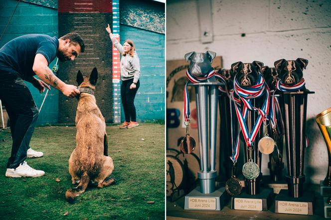 Athlétisme canin : « Vous avez peut-être un champion sur votre canapé