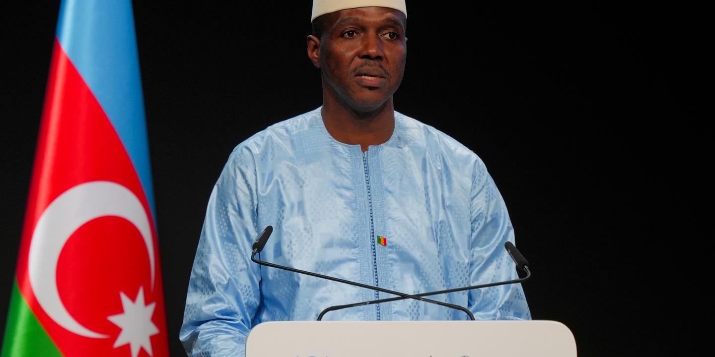 Mali junta chief sacks PM and government