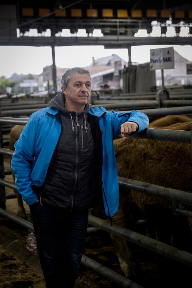 Au marché aux bestiaux de Laissac, l’inquiétude paysanne : « Le ...