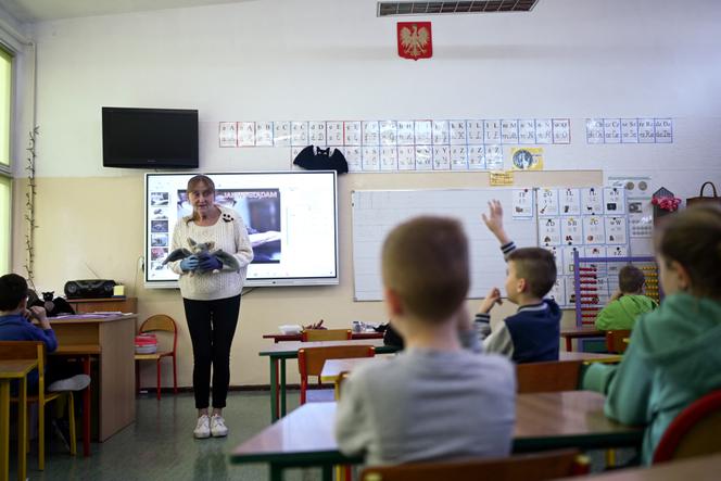 After eight years of ultraconservatism, Polish schools are beginning ...
